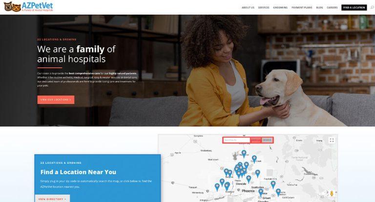 49 Best Veterinarian Websites