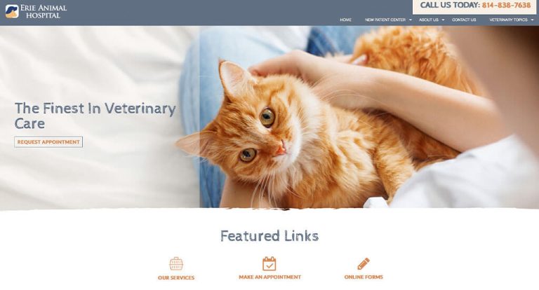 49 Best Veterinarian Websites