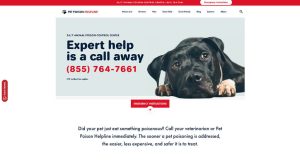49 Best Veterinarian Websites