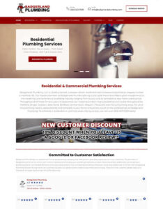 Badgerland Plumbing Case Study - WebCitz