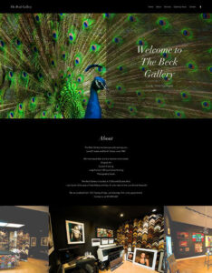Beck Gallery Case Study - WebCitz