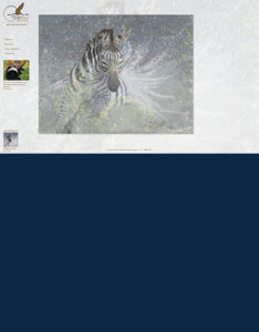 Wild Wind Images Case Study - WebCitz